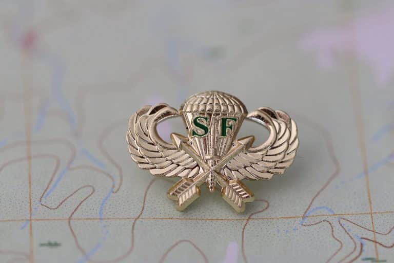 Miniature jump wings with crossed arrows GOLD Parachutist – Special ...